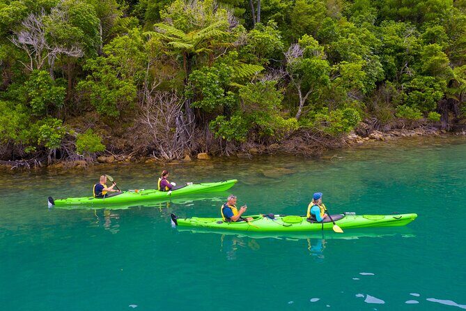 Picton Morning Guided Kayak with Afternoon Boat Cruise Tour - Frequently Asked Questions