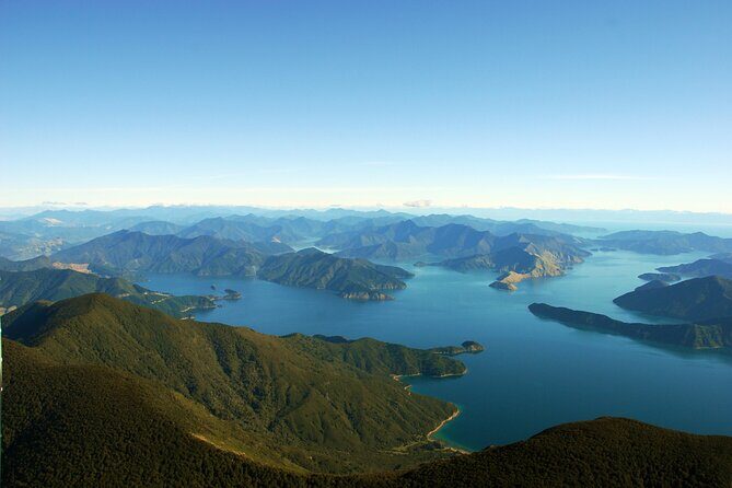 Picton Shore Excursion Queen Charlotte Sound Cruise - A Closer Look at the Queen Charlotte Sound Cruise