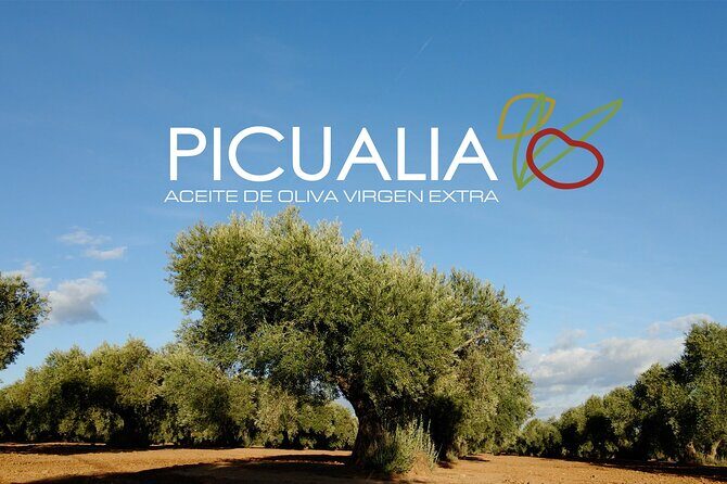 Picualia, olive oil mill tour & EVOO tasting - Key Points