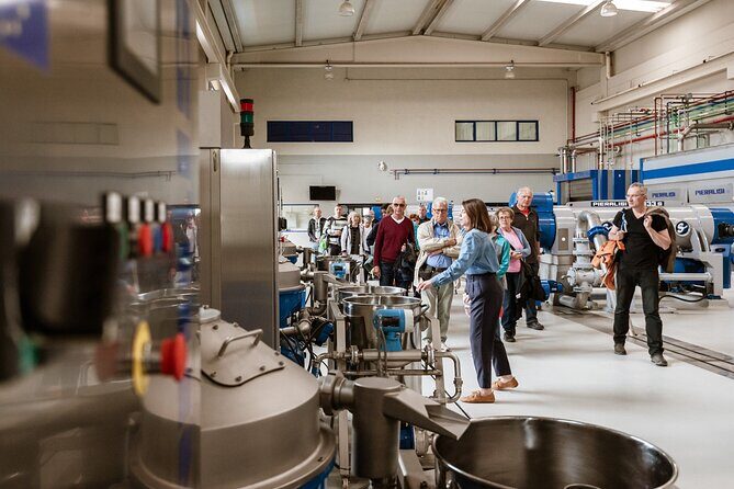 Picualia, olive oil mill tour & EVOO tasting - Who Will Get the Most Out of It?