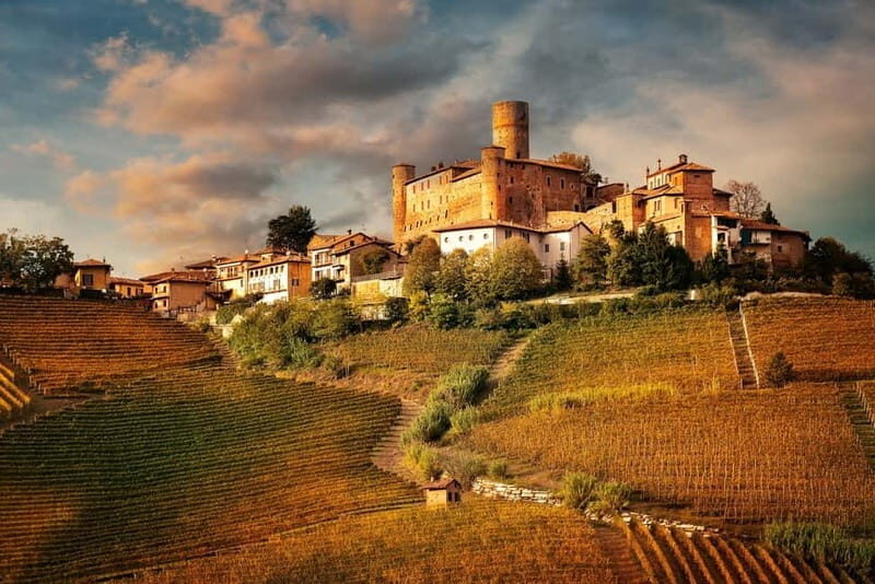 Piedmont: Winery Tour, Taste Barolo, Barbaresco & Local Food - Wine Tasting: Seven Wines and Local Flavors