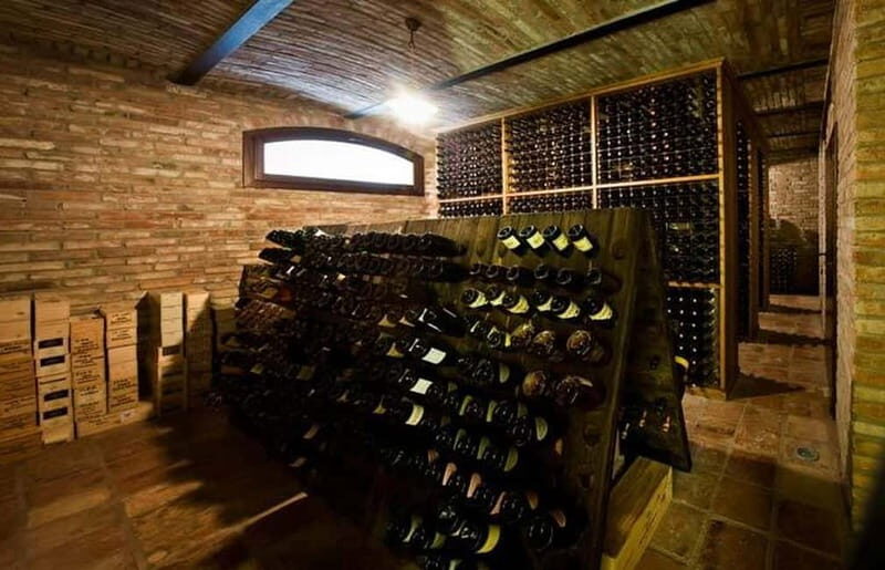 Piedmont: Winery Tour, Taste Barolo, Barbaresco & Local Food - Value for Money and Practical Considerations