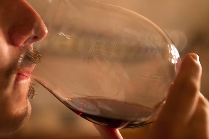 Piedmont Winery Tour: Taste Barolo, Barbaresco & Traditional Food - Challenges to Consider