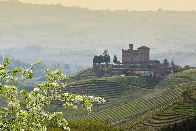 Piedmont Winery Tour: Taste Barolo, Barbaresco & Traditional Food - Final Thoughts