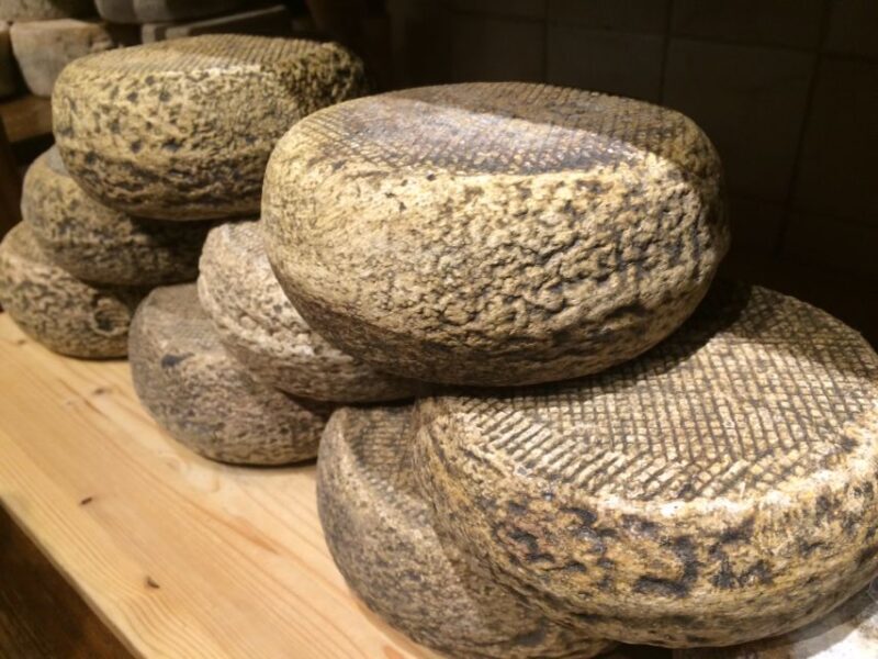 Pienza: Dairy Farm Tour with Pecorino Cheese Tasting - Pienza: Dairy Farm Tour with Pecorino Cheese Tasting