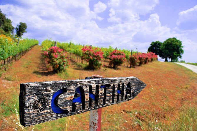 Pienza, Montalcino, Brunello Wine and Pecorino Cheese PRIVATE TOUR from FLORENCE - A Detailed Look at the Tuscany Private Experience