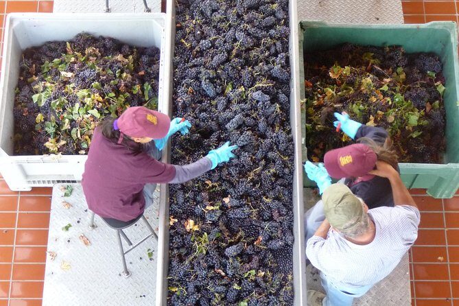 Pienza, Montalcino, Brunello Wine and Pecorino Cheese PRIVATE TOUR from FLORENCE - FAQ