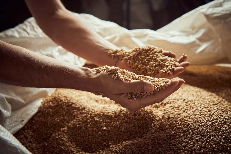 Pienza: tour of the mill with oil and wine tasting - What You Can Expect from the Experience