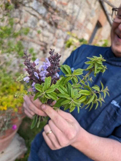 Pienza: Typical Gourmet Lunch at Ancient Tuscan Farmhouse - An Authentic Tuscan Meal in a Historic Setting