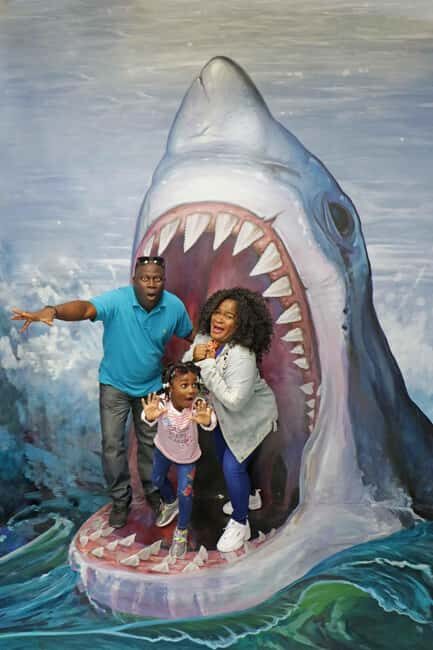 Pier 39: Museum of 3D Illusions - Pricing and Value