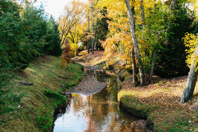 Pigeon Forge: Dollywood Theme Park Entry Ticket - Tips for Making the Most of Your Visit