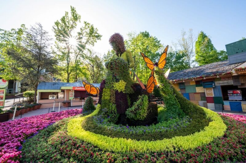 Pigeon Forge: Dollywood Theme Park Entry Ticket - Is It Worth the Price?