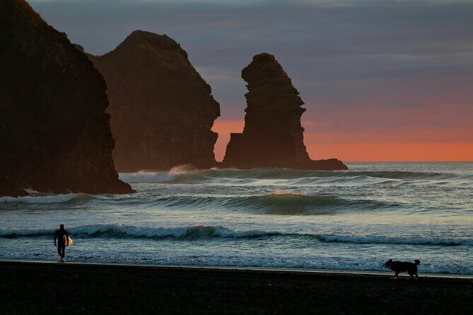 Piha Beach & Wilderness Nature : PRIVATE TOUR 8 hrs - Key Points