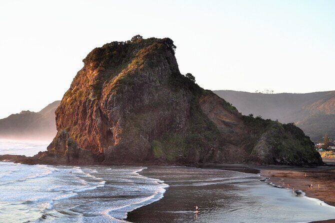 Piha Beach & Wilderness Nature : PRIVATE TOUR 8 hrs - Discovering Auckland’s Natural and Urban Landscape