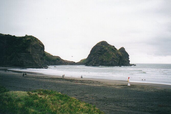 Piha Beach & Wilderness Nature : PRIVATE TOUR 8 hrs - Comfortable Transportation & Expert Guidance