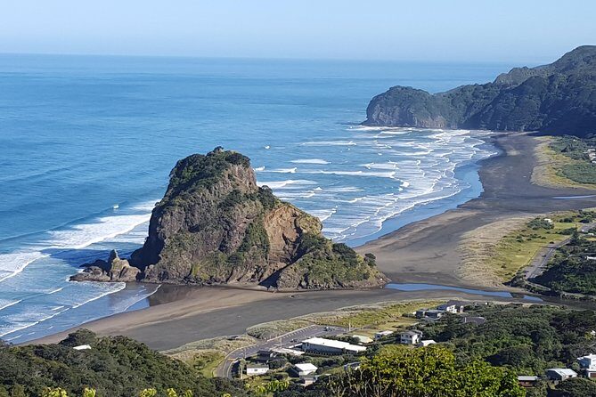Piha Beach & Wilderness Nature : PRIVATE TOUR 8 hrs - Who Is This Tour Best Suited For?