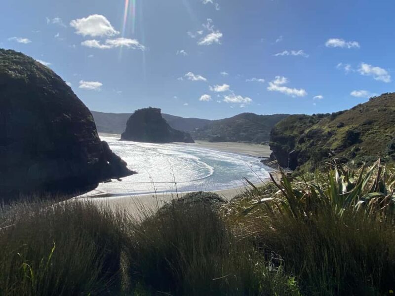 Piha & Karekare - Out of Auckland Private Tour - Key Points