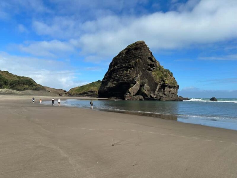 Piha & Karekare - Out of Auckland Private Tour - An Authentic Adventure in Auckland’s Wild West Coast
