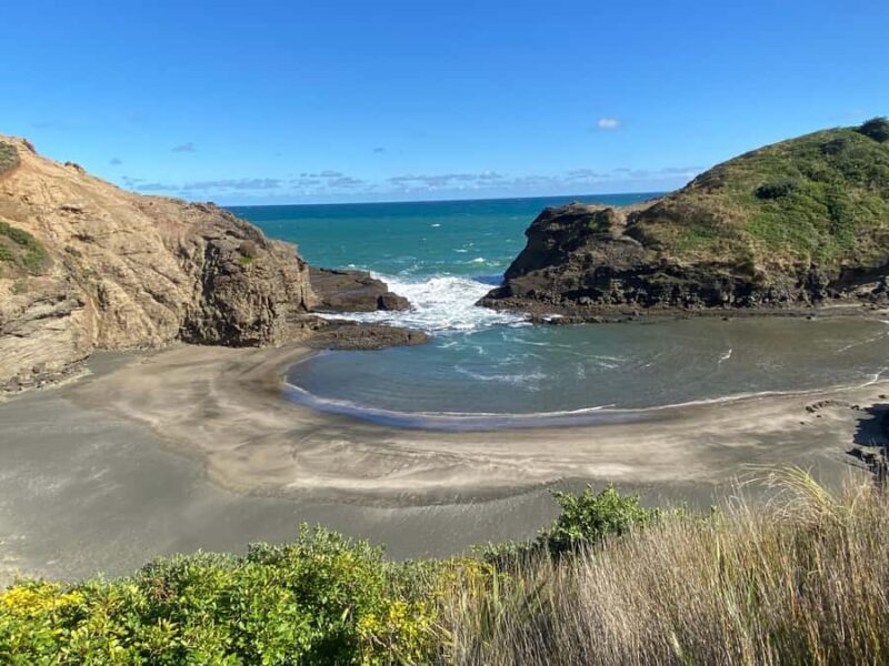 Piha & Karekare - Out of Auckland Private Tour - FAQ