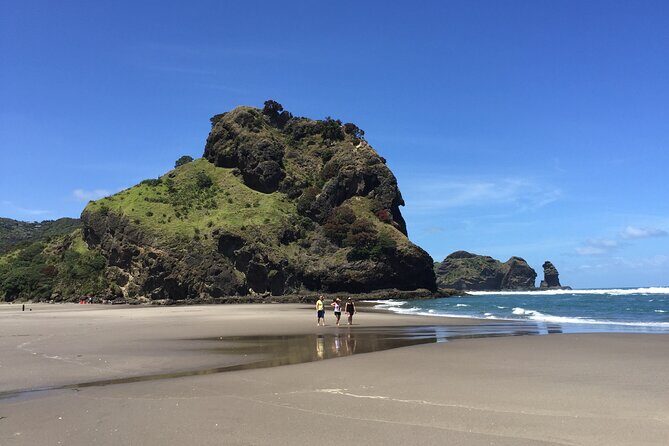 Piha Waitakere Rainforest Wine Tour from Auckland - Practical Tips for Travelers  