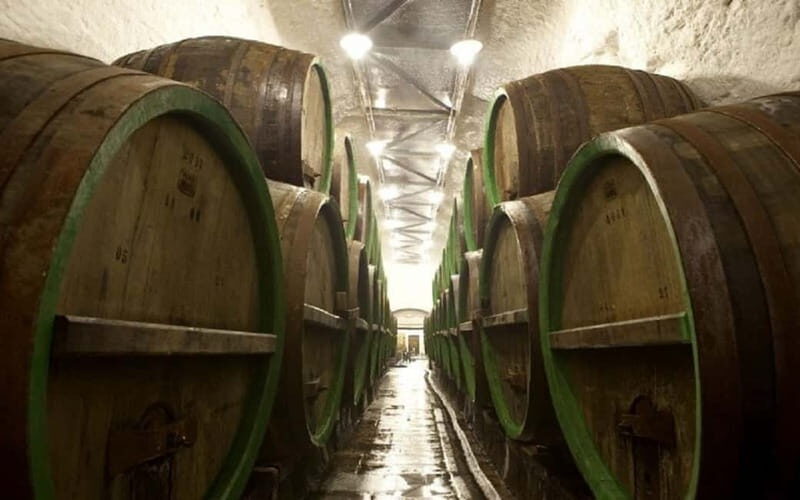 Pilsner Brewery & Nizbor Glass Factory Combination Tour - In-Depth Review of the Tour Experience