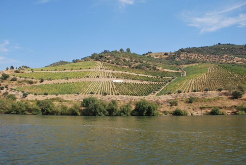 Pinhão: 2-Hour Rabelo Boat Tour with Audio Guide - The Experience in Detail