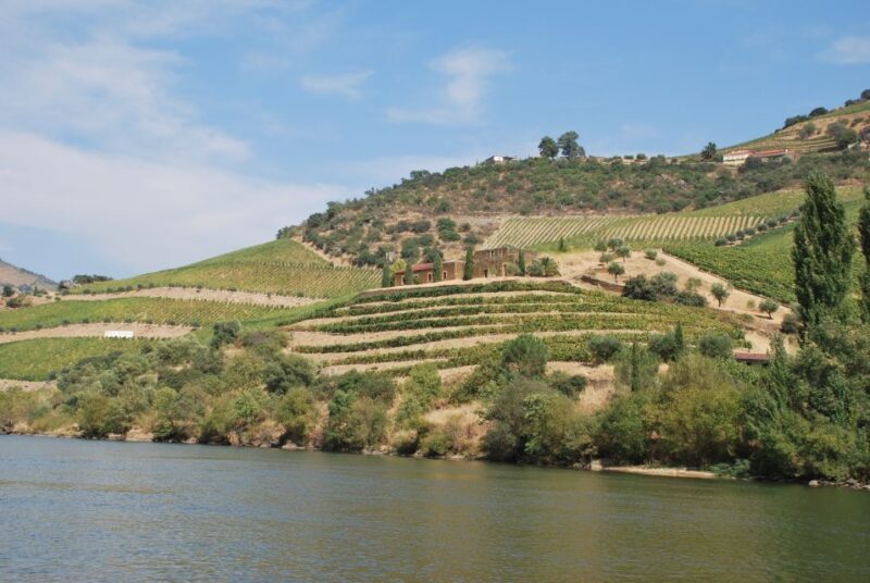 Pinhão: 2-Hour Rabelo Boat Tour with Audio Guide - The Sum Up