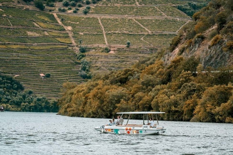 Pinhão: Douro River Solar Boat Tour with Wine Tasting - FAQ