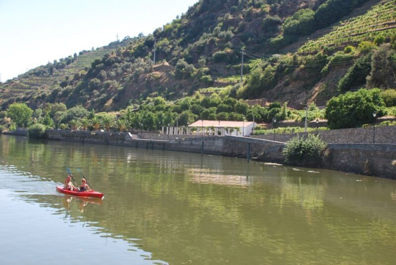 Pinhão: Douro Valley Rabelo Boat Tour and Kayak Experience - An In-Depth Look at the Douro River Adventure
