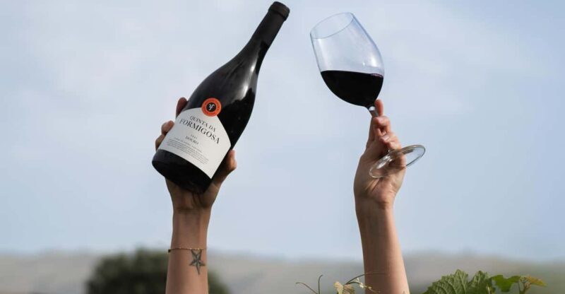 Pinhão: Quinta da Formigosa Vineyard Tour and Wine Tasting - Key Points