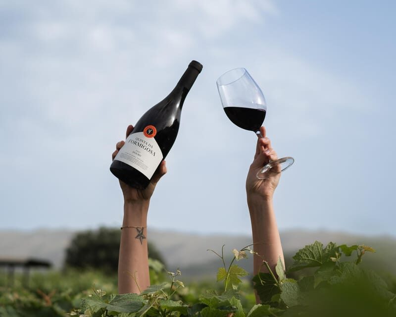 Pinhão: Quinta da Formigosa Vineyard Tour and Wine Tasting - Discovering Quinta da Formigosa: What to Expect