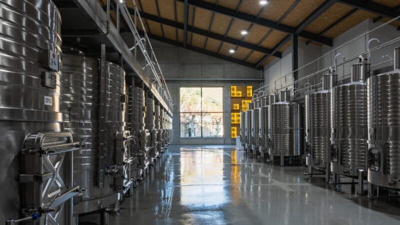 Pinhão: Quinta da Formigosa Vineyard Tour and Wine Tasting - Who Will Love This Experience?