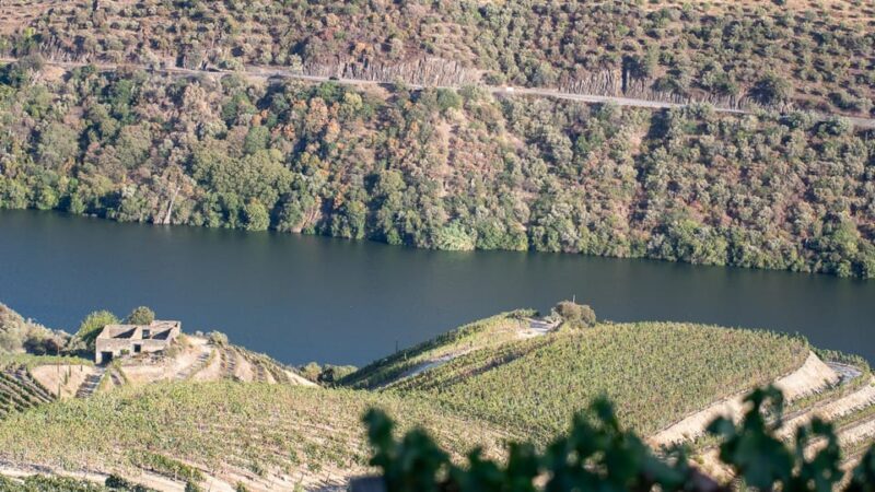 Pinhão: Quinta da Formigosa Vineyard Tour and Wine Tasting - Final Thoughts