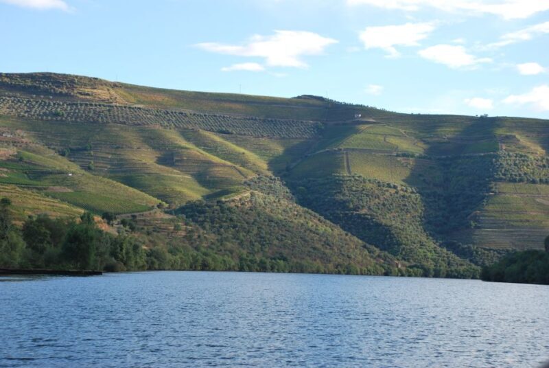 Pinhão: Rabelo Boat 1-Hour Tour - The Sum Up
