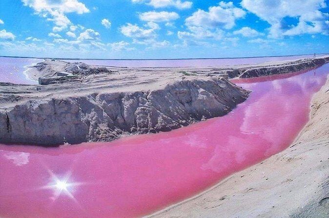 Pink Waters of Las Coloradas, Pink Flamingos and Colonial City of Valladolid, - What’s Included and What’s Not
