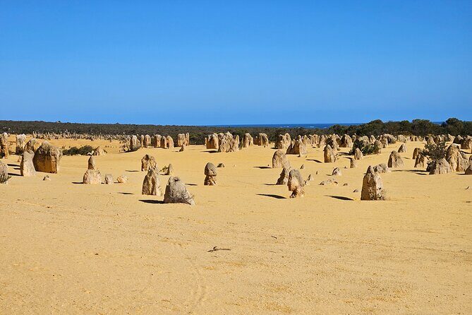 Pinnacle Day Adventure Tour - What Makes the Pinnacle Day Adventure Tour Stand Out?