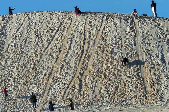 Pinnacle Day Adventure Tour - Authentic Feedback from Past Travelers