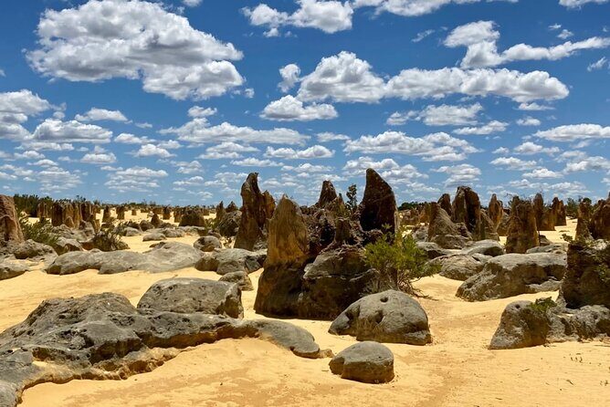 Pinnacles Day Tour - Key Points