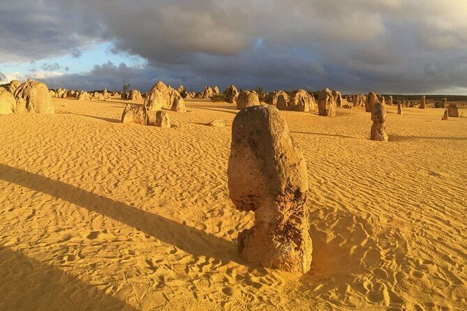 Pinnacles Day Tour - An In-Depth Look at the Pinnacles Day Tour