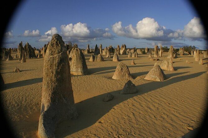 Pinnacles Day Tour - Who Will Enjoy This Tour?
