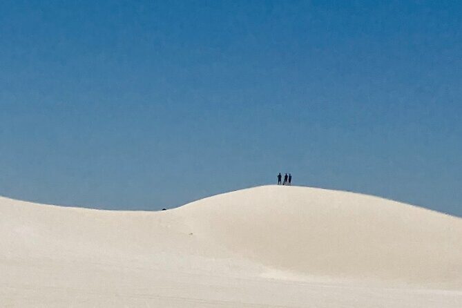 Pinnacles Desert and Catch Your Own Lobster Lunch Safari. - Who Is This Tour Best For?