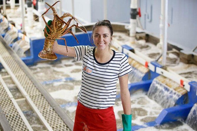 Pinnacles Desert, Koalas and Sandboarding 4WD Day Tour from Perth - An In-Depth Look at the Tour