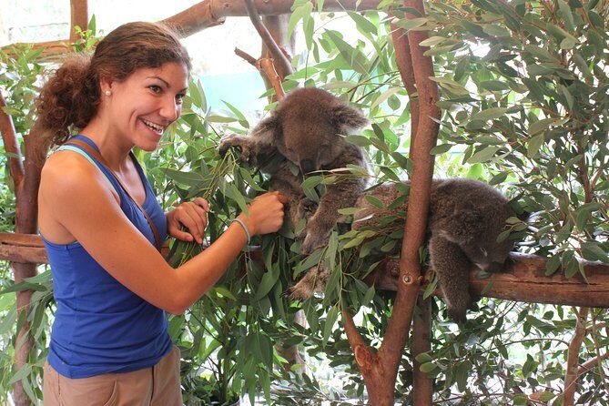 Pinnacles Desert, Koalas and Sandboarding 4WD Day Tour from Perth - FAQ