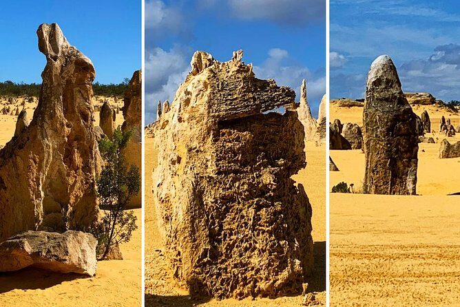 Pinnacles Desert Private Day Tour - The Sum Up