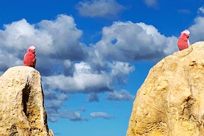 Pinnacles Desert Private Day Tour - FAQs