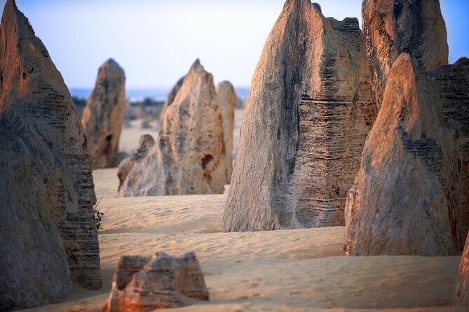 Pinnacles Desert, Yanchep and Swan Valley with Lunch - Discover Western Australia’s Highlights in One Day