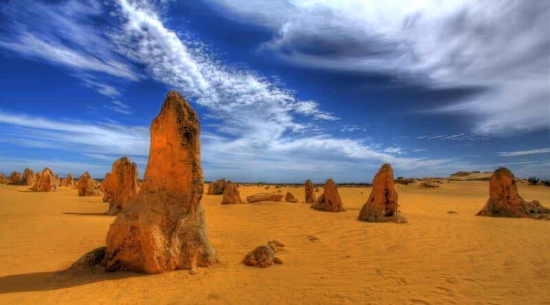 Pinnacles, Koalas & Sandboarding Tour Day Trip from Perth - An In-Depth Look at the Tour Experience