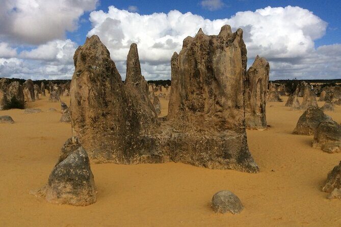 Pinnacles & Rottnest Island Scenic Air & Ground Tour - FAQs