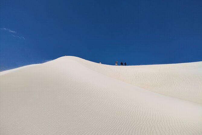Pinnacles+Lancelin Sand Dune Impression Day Tour from Perth - The Practicalities