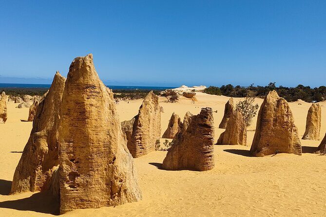Pinnacles+Lancelin Sand Dune Impression Day Tour from Perth - Frequently Asked Questions